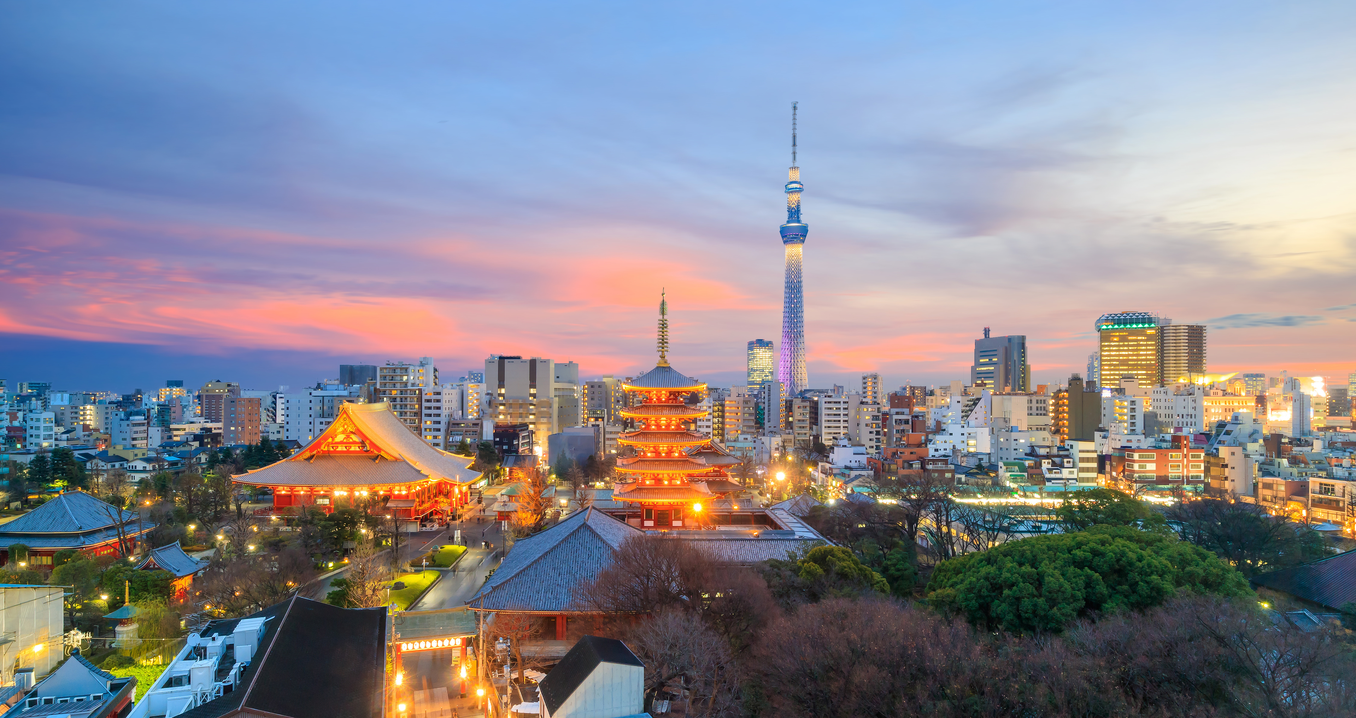 Tokyo Guide: When to visit and what to see? | Vialala